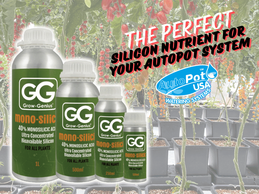 Grow Genius - The perfect Silicon Nutrient for your AutoPot System - AutoPot Watering Systems USA